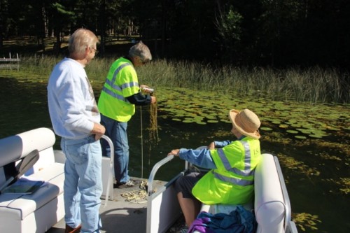 water testing - Little Sand
